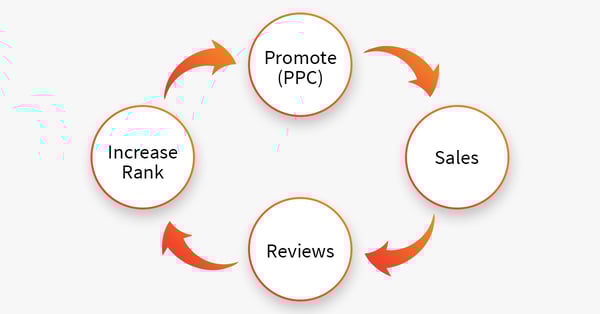 Amazon Product Launch: How to successfully enter the market